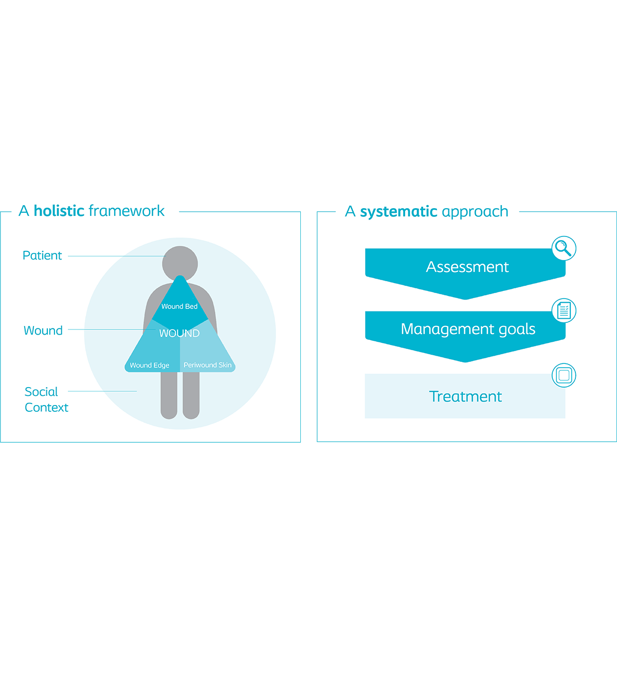 The Triangle of Wound Assessment