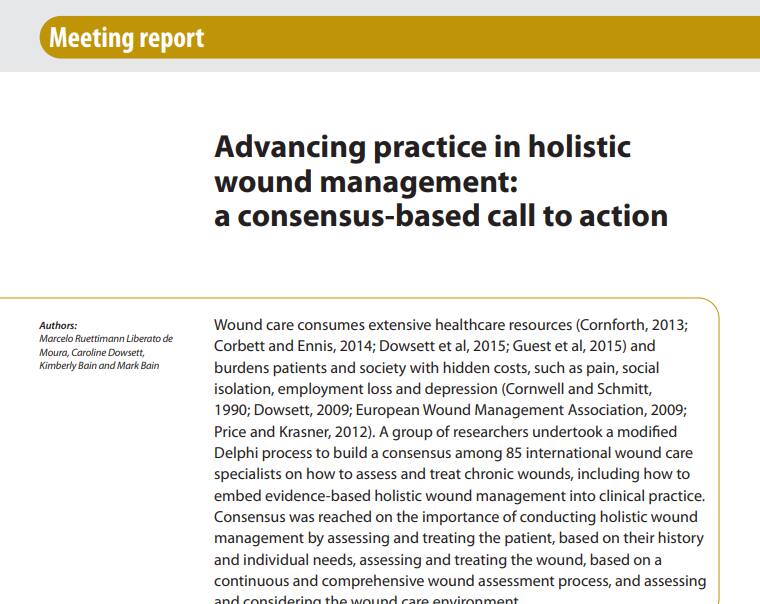 The Triangle of Wound Assessment: a holistic framework from wound ...
